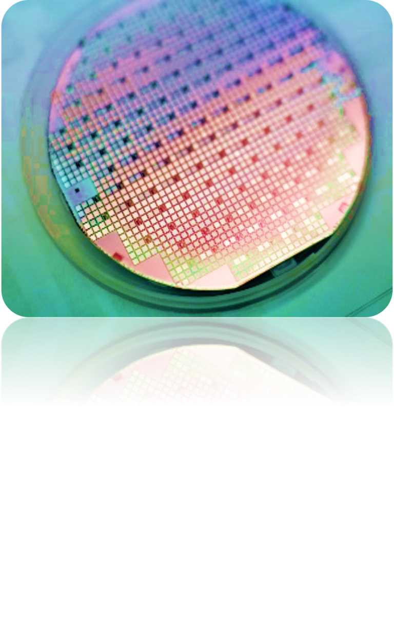 Products – Cactus Materials